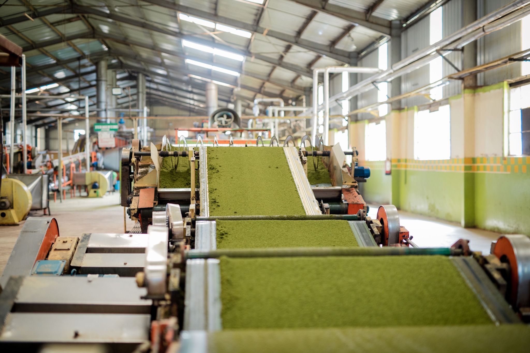 home - Kipchimchim Group