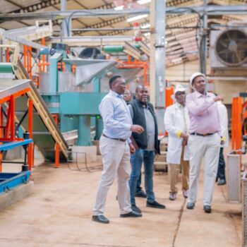 home - Kipchimchim Group