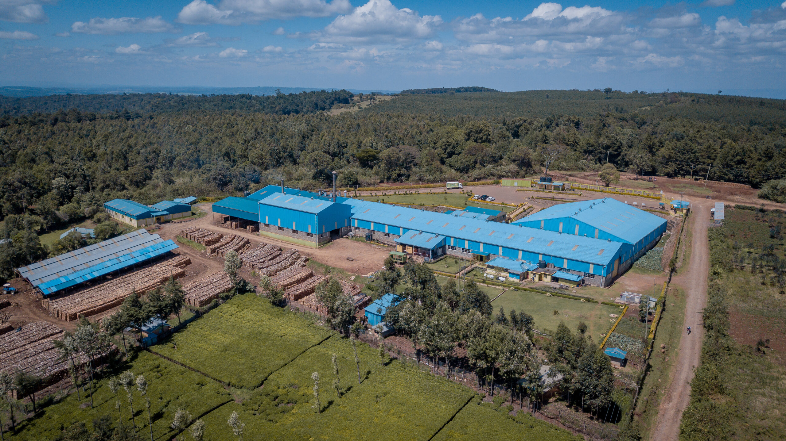 home - Kipchimchim Group