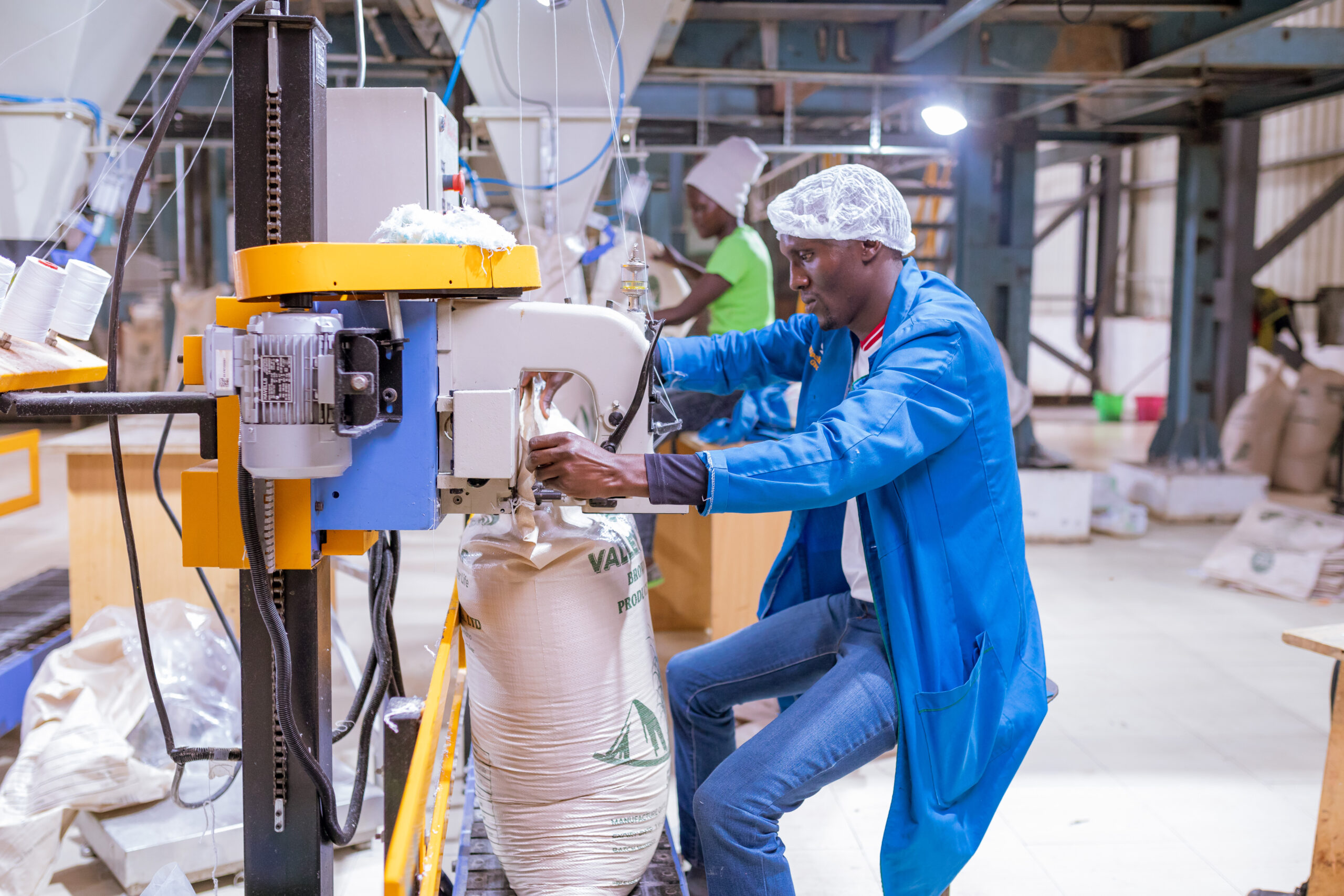 home - Kipchimchim Group