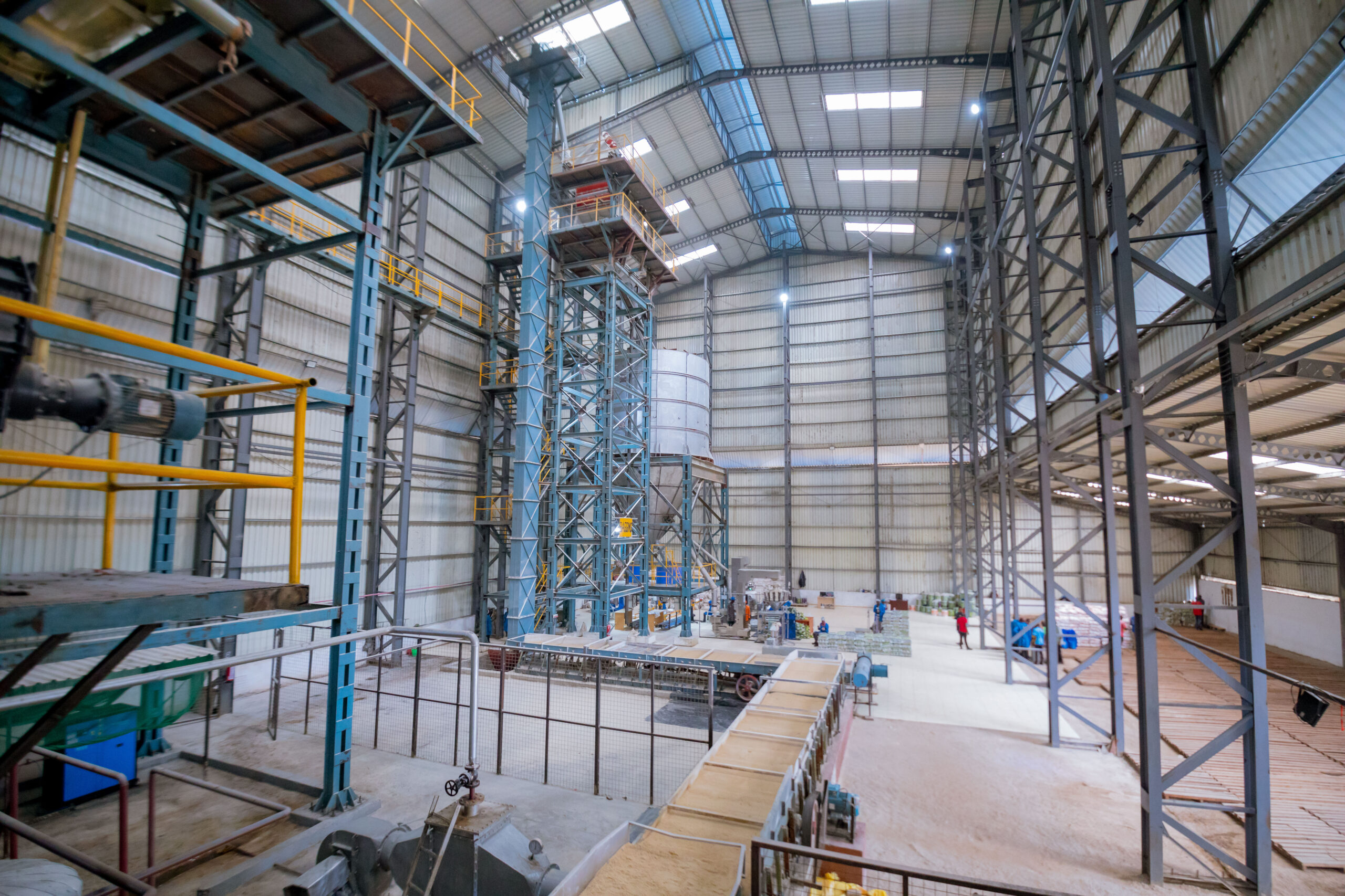 home - Kipchimchim Group