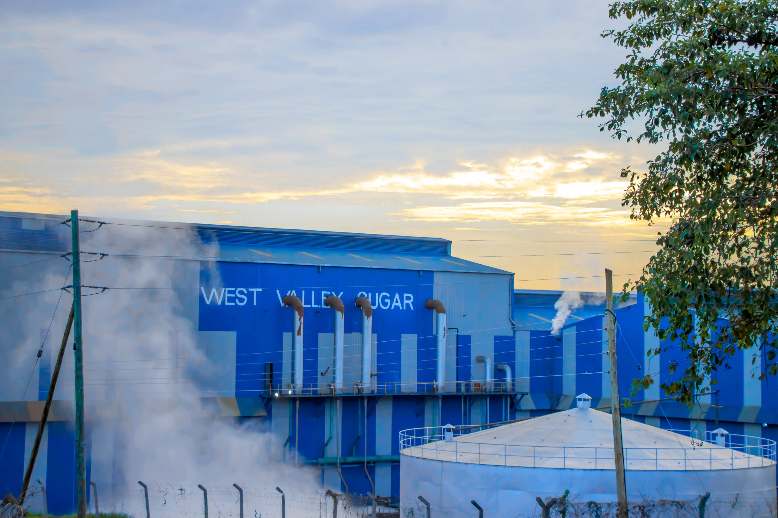 home - Kipchimchim Group